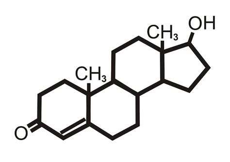 남성호르몬 테스토스테론 결핍이나 과잉이라면 네이버 블로그