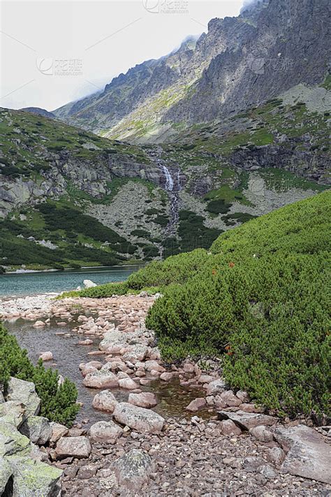 高山湖泊有瀑布。前景中的小松树。背景是云中高高的岩石。