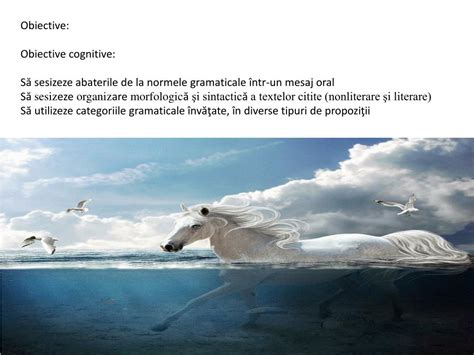 Ppt Modul Conditional Optativ Clasa A Vi A Powerpoint Presentation Free Download Id3725510 Ppt Modul Conditional Optativ Clasa A Vi A Powerpoint Presentation Free Download Id3725510