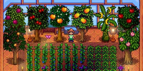 What Is Stardew Valleys Best Greenhouse Layout