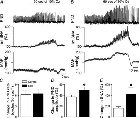 Physiological Responses To Inspiration Of Hypoxic Air Acute Hypoxia Download Scientific Diagram