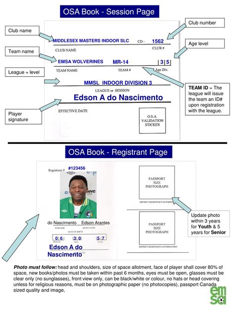 PPT TEAM ID The League Will Issue The Team An ID Upon Registration With The League