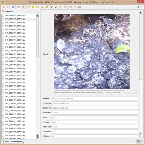 Bug Report 15244 Photos Not Resizing In Feature Form When Edit Widget