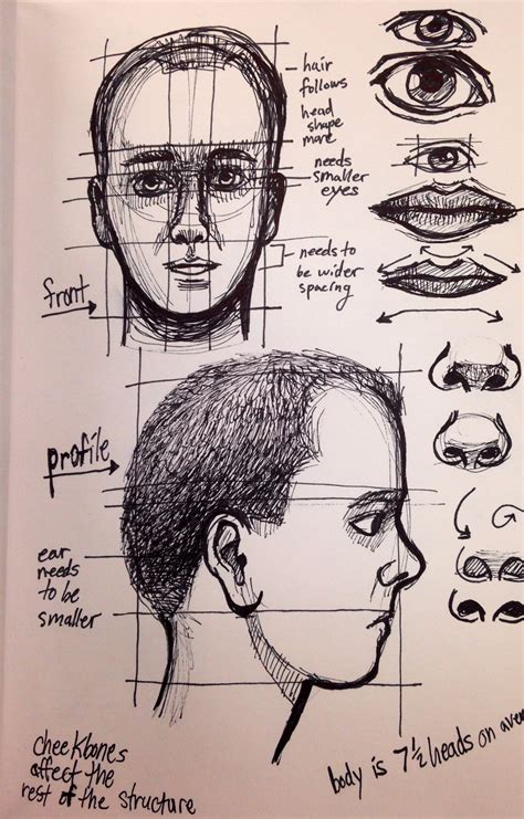 3d Modeling Human Face On Behance