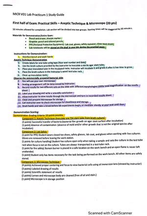 Chapter 10 Cornell Notes MICR V01 Studocu