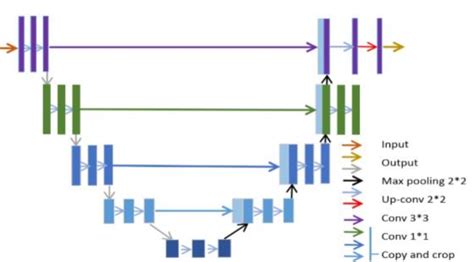 Figure 3 From A Review On Deep Learning Based Polyp Segmentation For