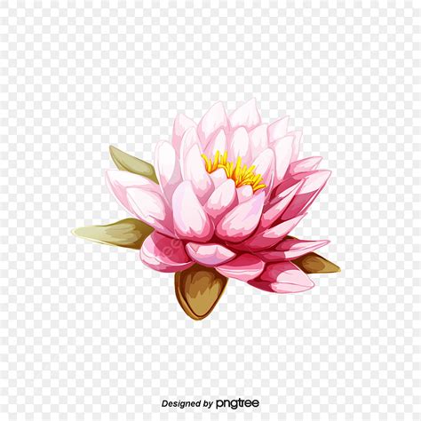 Chinese Lotus Flower Clip Art Lotus Flower Clip Art Vector Images