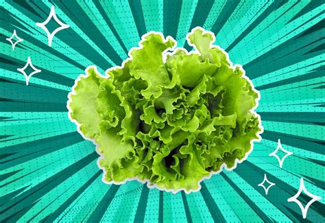 7 Tasty Alternatives To Refried Beans Savor The Recipes 2025