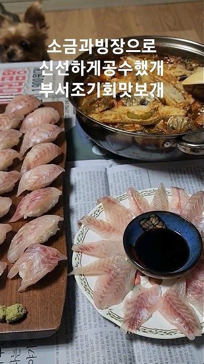 소금과빙장으로 신선하게공했개 부서조기회맛보개 Shorts Youtube