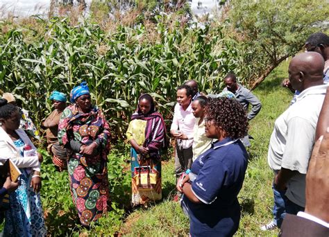 Explorer Les Projets D Investissement Agricole International Institute For Sustainable Development