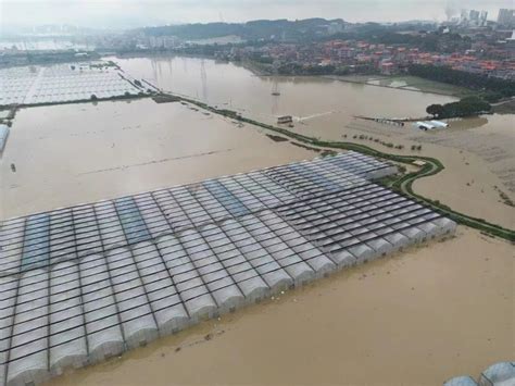 南方暴雨上万亩农田绝收！暴雨洪灾来袭，农业生产如何应对？ 知乎