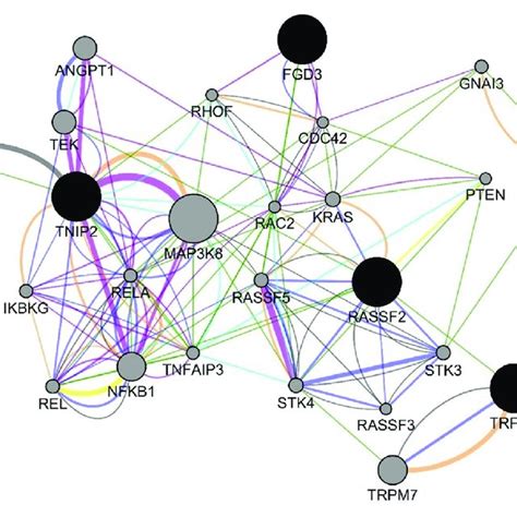 Gene Interaction Network Among The Genes From The Decision Tree