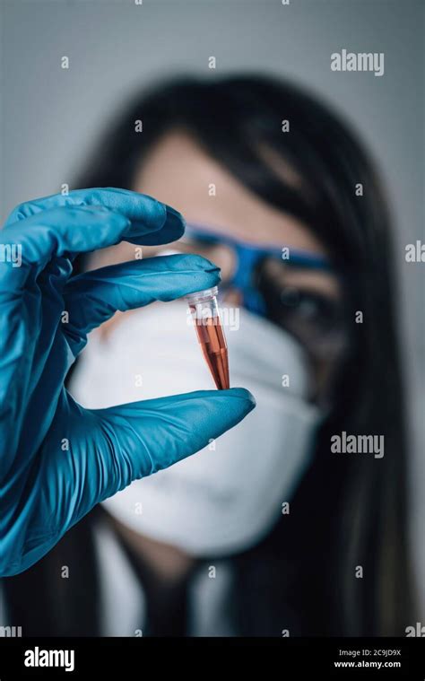 Forensic Science In Lab Forensic Scientist Examining DNA Evidence Stock Photo Alamy