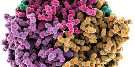 Anti D Antenatal Anti D Immunoglobulin
