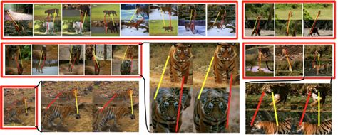 Behaviors Discovered By Clustering Consistent Motion Patterns Sec