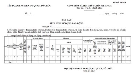 Mẫu Báo Cáo Tình Hình Sử Dụng Lao động 06 Tháng Cuối Năm Dành Cho Doanh