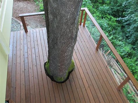 Railing Around Existing Tree Deck Around Trees Playground Design Small Gardens Railing Around Existing Tree Deck Around Trees Playground Design Small Gardens