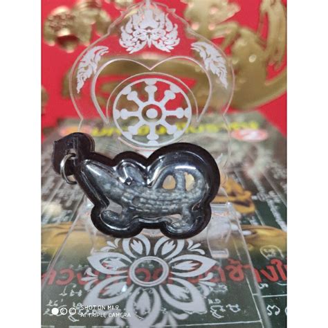 招财人缘金壁虎CHING CHOK SARDUNG PEE 高僧LUANG PHOR AKPINYA WAT BANG PHRA 乃是泰国