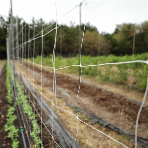 Netting For Flowers And Vines This Durable Lightweight Polypropylene