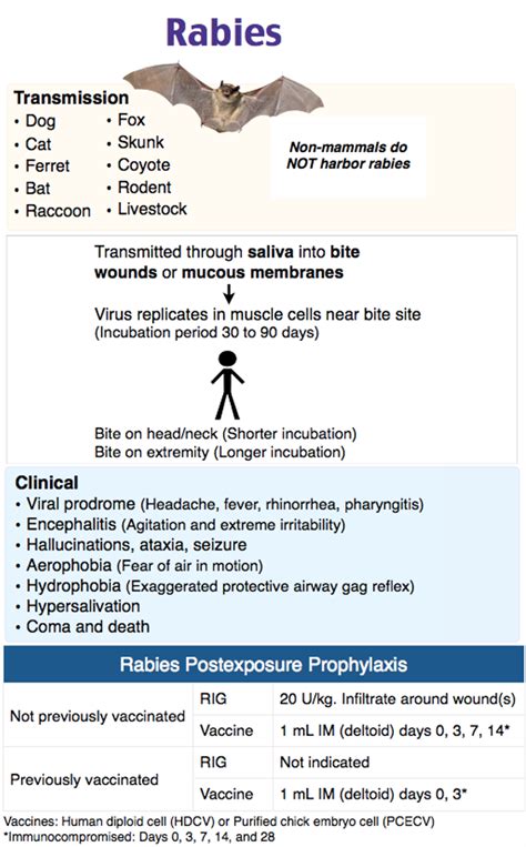 Emergency Medicine Educationscreen Shot 2022 12 14 At 847