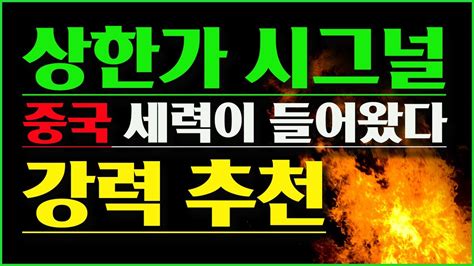 급등주 거래재개 분명히 터진다 11월9일 수요일 반드시 상승 나오는 딱 1종목 추천 종목 상한가 중국 광군제 Youtube