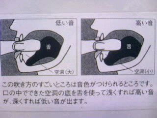 メロディー指笛は鉤型に曲げた人差し指を舌の上に乗せて吹く メロディ 指笛 うたう草笛Part 2 Finger flute