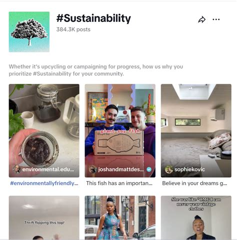 Niche Tiktok Communities What They Are And Why They Matter