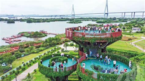 琴澳旅遊團七天內可多次往返琴澳 經辦旅行社須由深合區認定 澳門力報官網