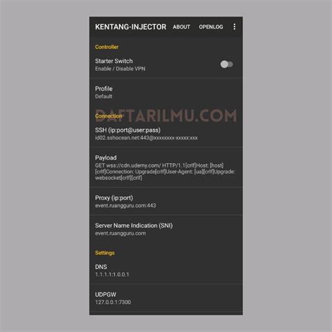 cara membuat config kentang injector ovpn clash dalam 1 menit