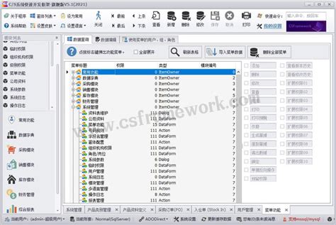 Cs架构软件快速开发平台旗舰版v51cnet开发平台winform开发框架cs框架网