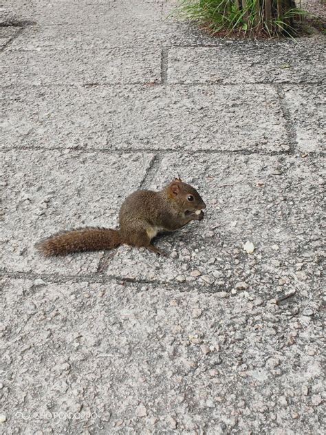 Tensorflow Mlir Xla互相转换源码分析 一 ：整体代码框架 知乎