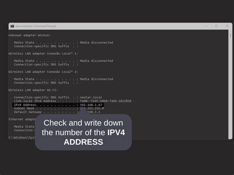 What To Do When Nex Admin In The Terminal Does Not Locate The Server