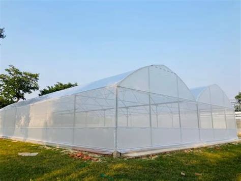 Panel Build Polycarbonate Sheet Greenhouse At ₹ 950 Square Meter In