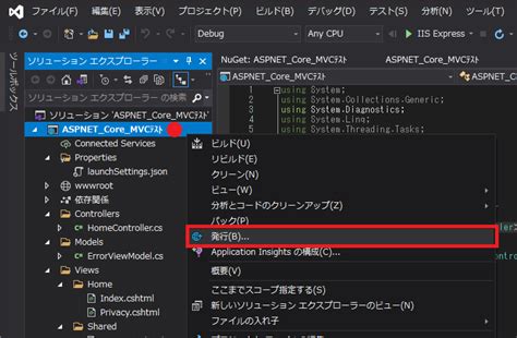 【ワレコのwebプログラミング】net50を使ってaspnet Core Mvcサイトを作成･発行する【windows Iis】