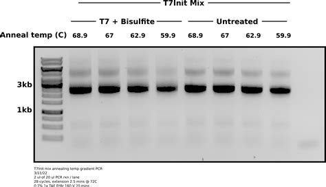 Primer Optimization Lab Notebook