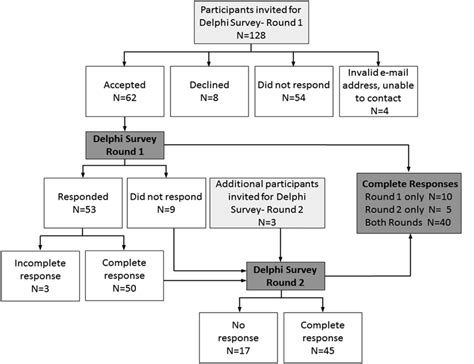 Flow Diagram Of The Delphi Surveys Download Scientific Diagram