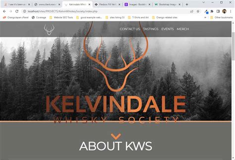 Css Image Doesnt Resize Based On The Container Its In What Am I
