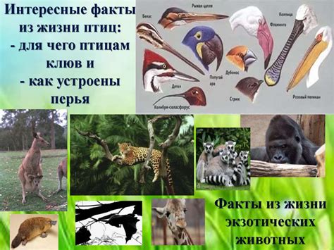 Занимательная биология презентация онлайн