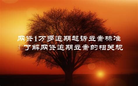 网贷1万多逾期起诉立案标准了解网贷逾期立案的相关规定 掌上生意经