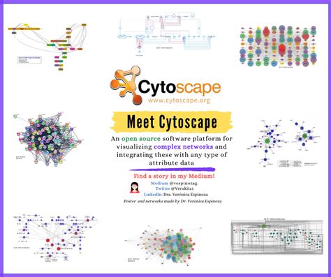 16 Network Visualization Tools That You Should Know By Dr Veronica