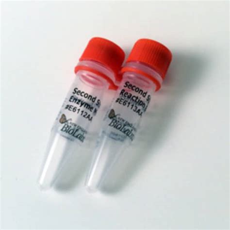 New England Biolabs Inc Nebnext Ultra Ii Non Directional Rna Second