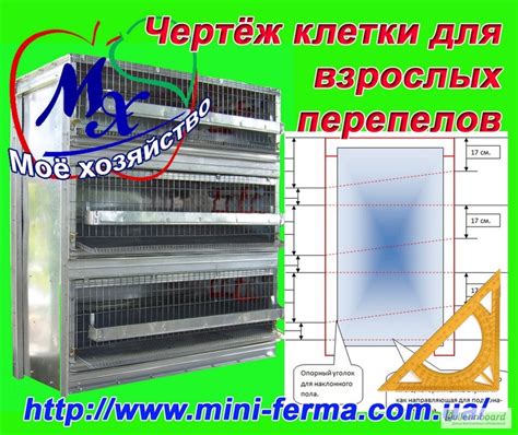 Чертежи клеток для перепелов подробное руководство по изготовлению ...