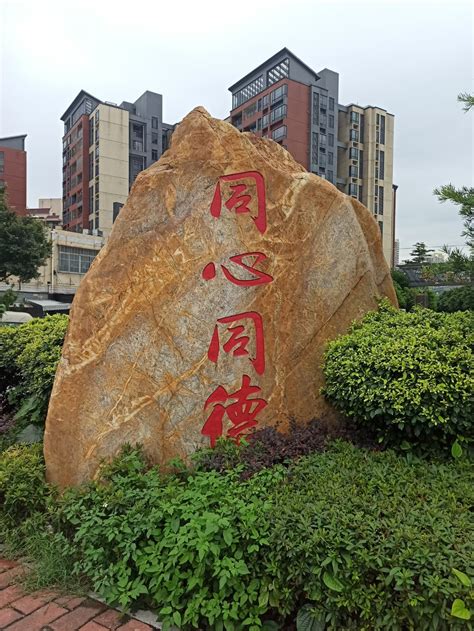 镇街简介 广州市白云区人民政府门户网站