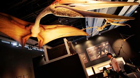 200 Million Year Old Pterosaur Species ‘built For Flying Discovered