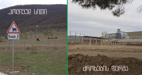 ძროხების ფერმა ჰოლივუდ სითის ნაცვლად კასპში რუსეთის მოქალაქე ბიზნესს იწყებს