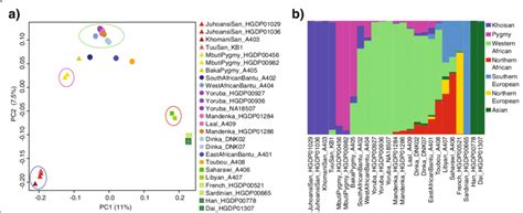 Principal Component Analysis PCA And ADMIXTURE A First Two Download Scientific Diagram