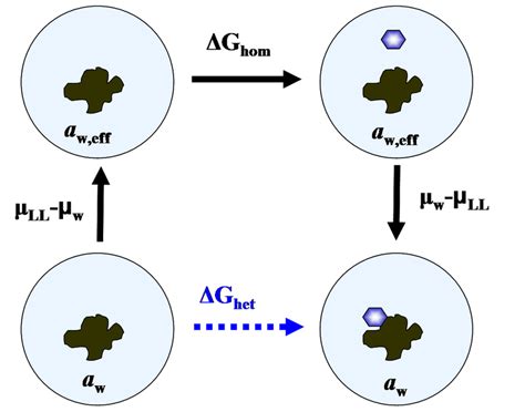 Diagram Representing A Thermodynamic Path Including Homogeneous Ice