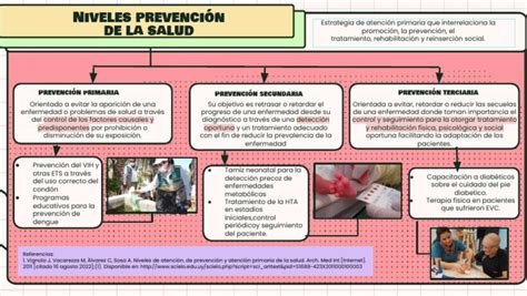Niveles De Prevención De La Salud Pdf Asistencia Sanitaria