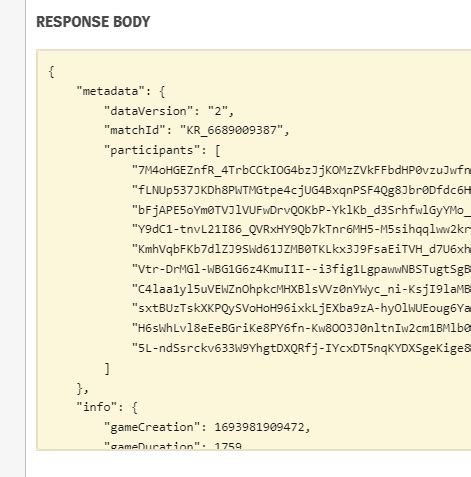 Riot Api