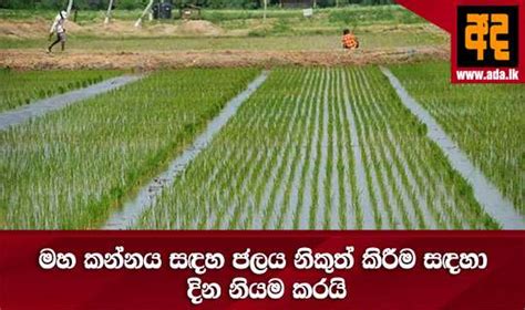මහ කන්නය සඳහ ජලය නිකුත් කිරීම සඳහා දින නියම කරයි Ada Online